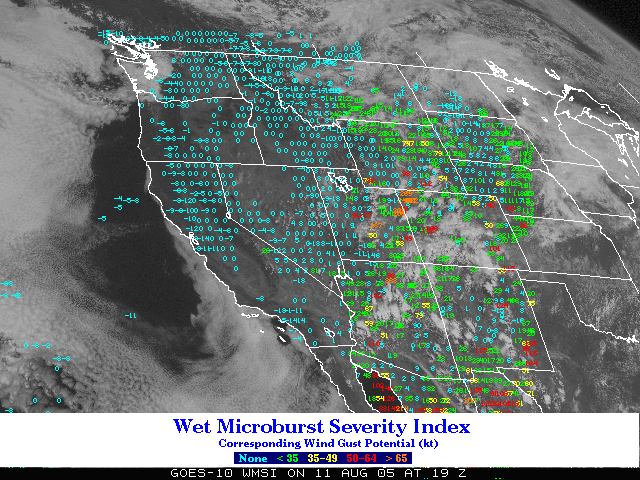 A Study of a Dryline Convective Downburst